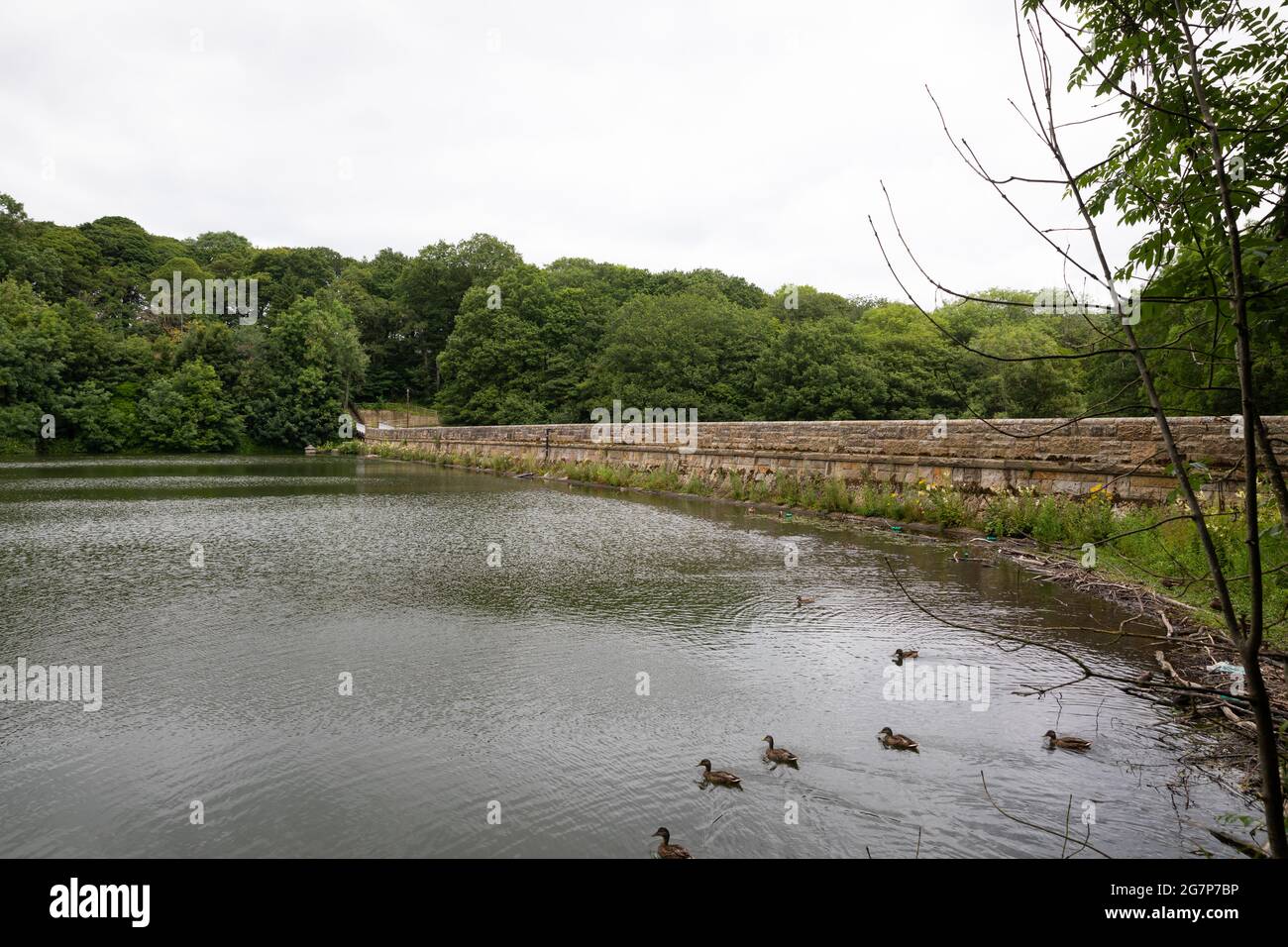 Cloudy over Linacre Reservoir in Cutthorpe, Chesterfield Stock Photo ...