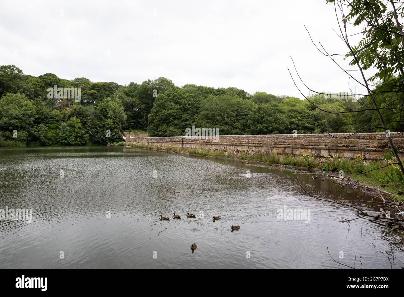 Linacre Reservoir High Resolution Stock Photography and Images - Alamy