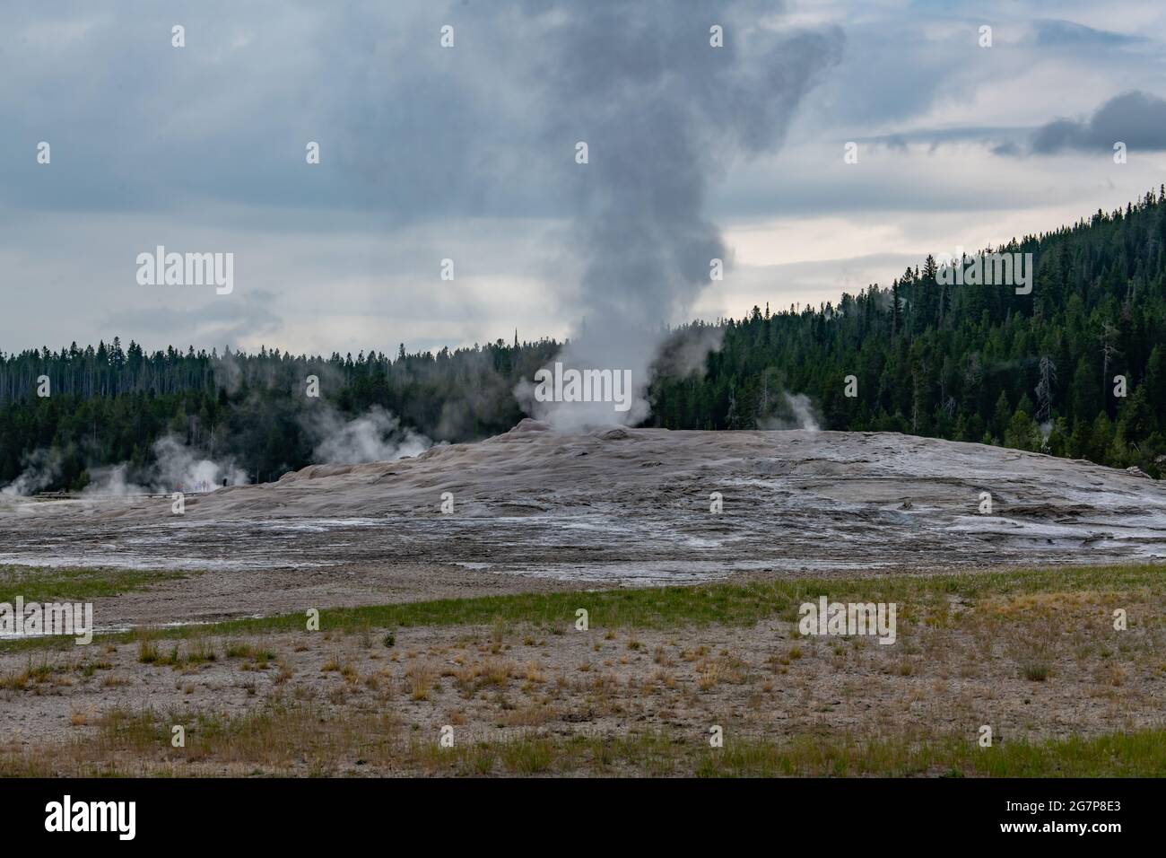 Old Faithful Geyser Stock Photo - Alamy