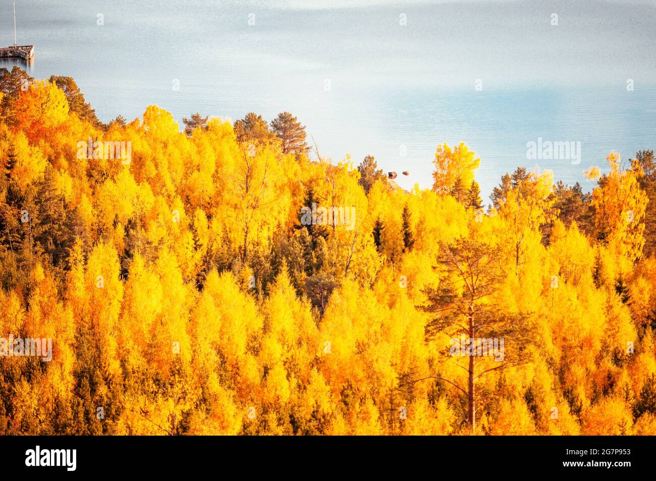 Golden landscapes hi-res stock photography and images - Alamy