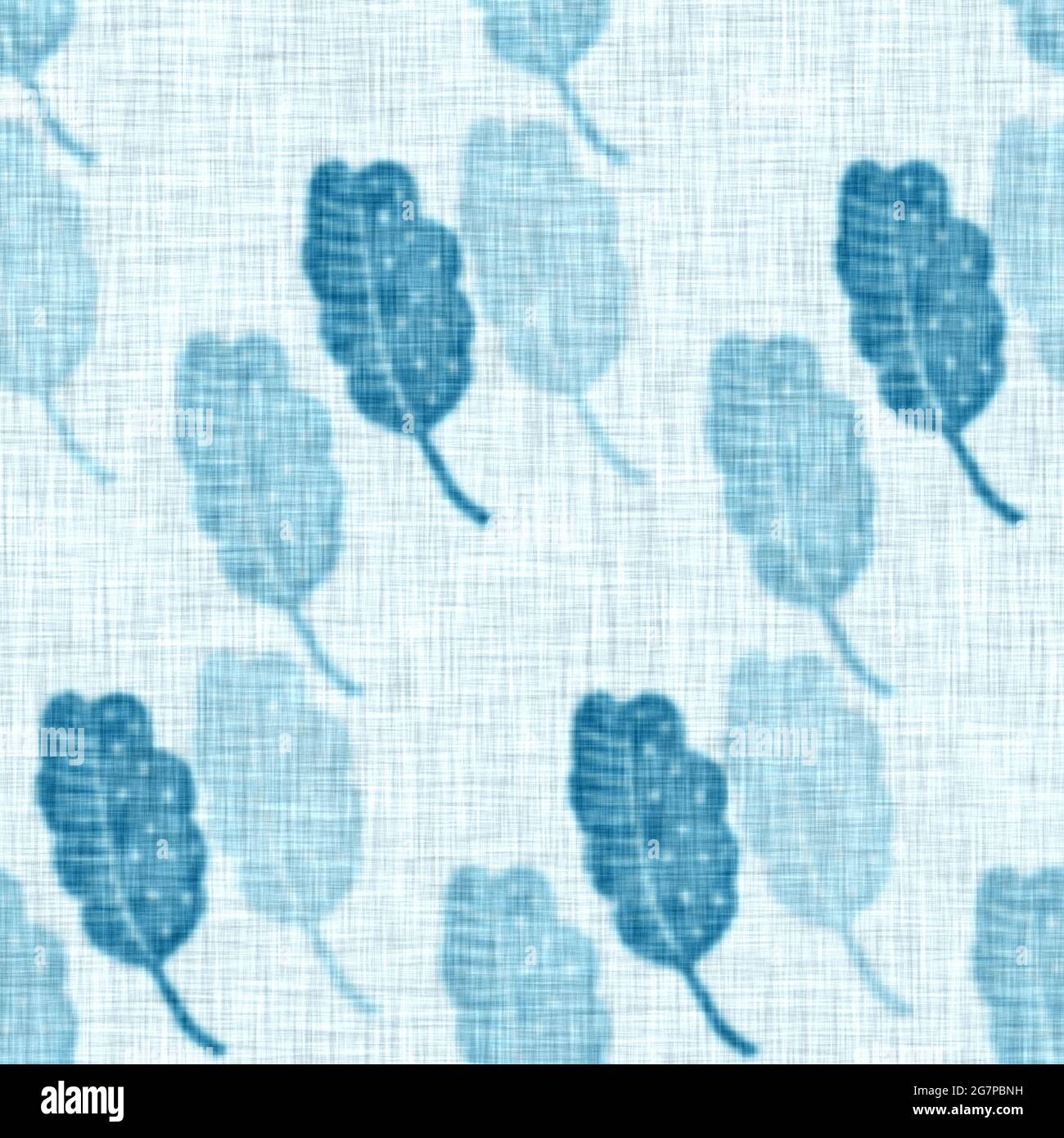 Cyanotypes hi-res stock photography and images - Alamy