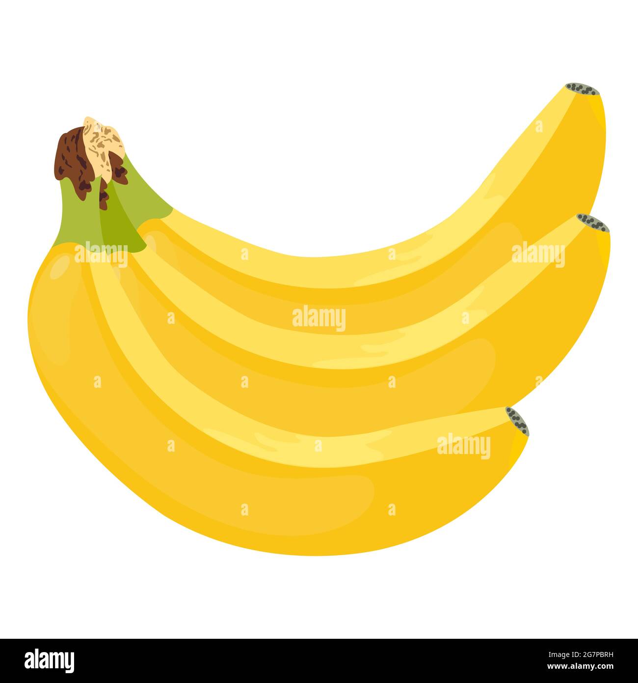 Banana bunch isolated on white background. Ripe bunch of bananas ...