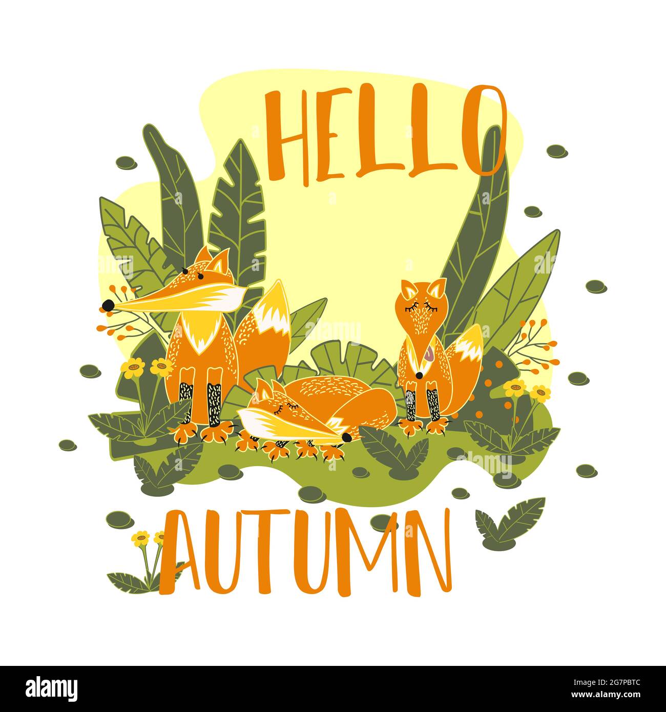 A family of wild foxes in the meadow. Cute forest animals in nature ...