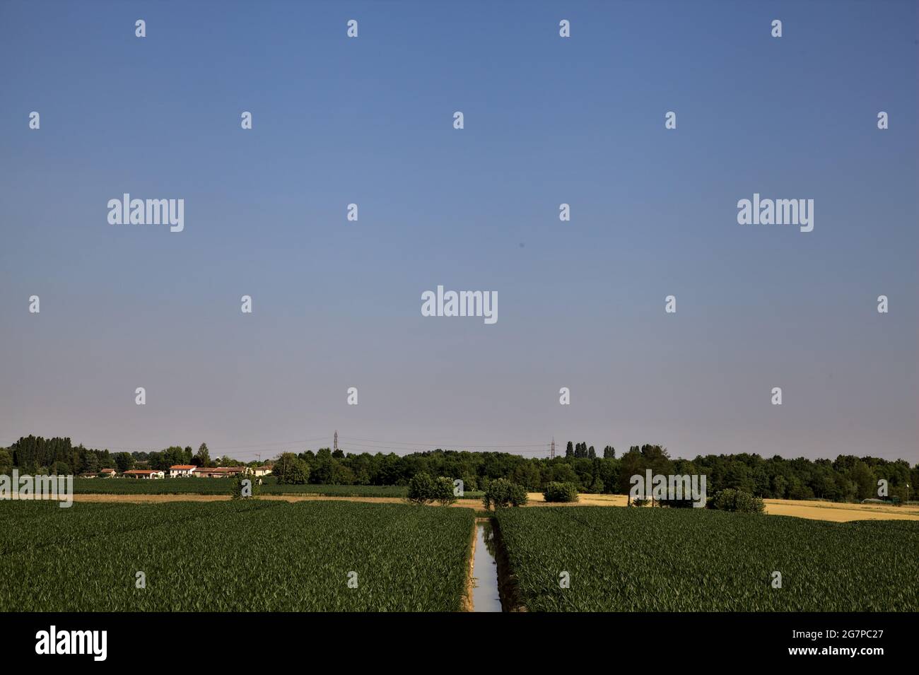 Irrigation canal between corn fields in the italian countryside at ...