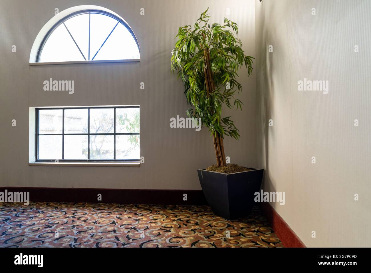Reception desk potted plant hi-res stock photography and images - Alamy