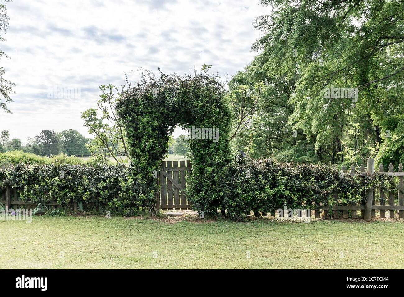 Outdoor backyard or front yard gate covered in greenery Stock Photo - Alamy