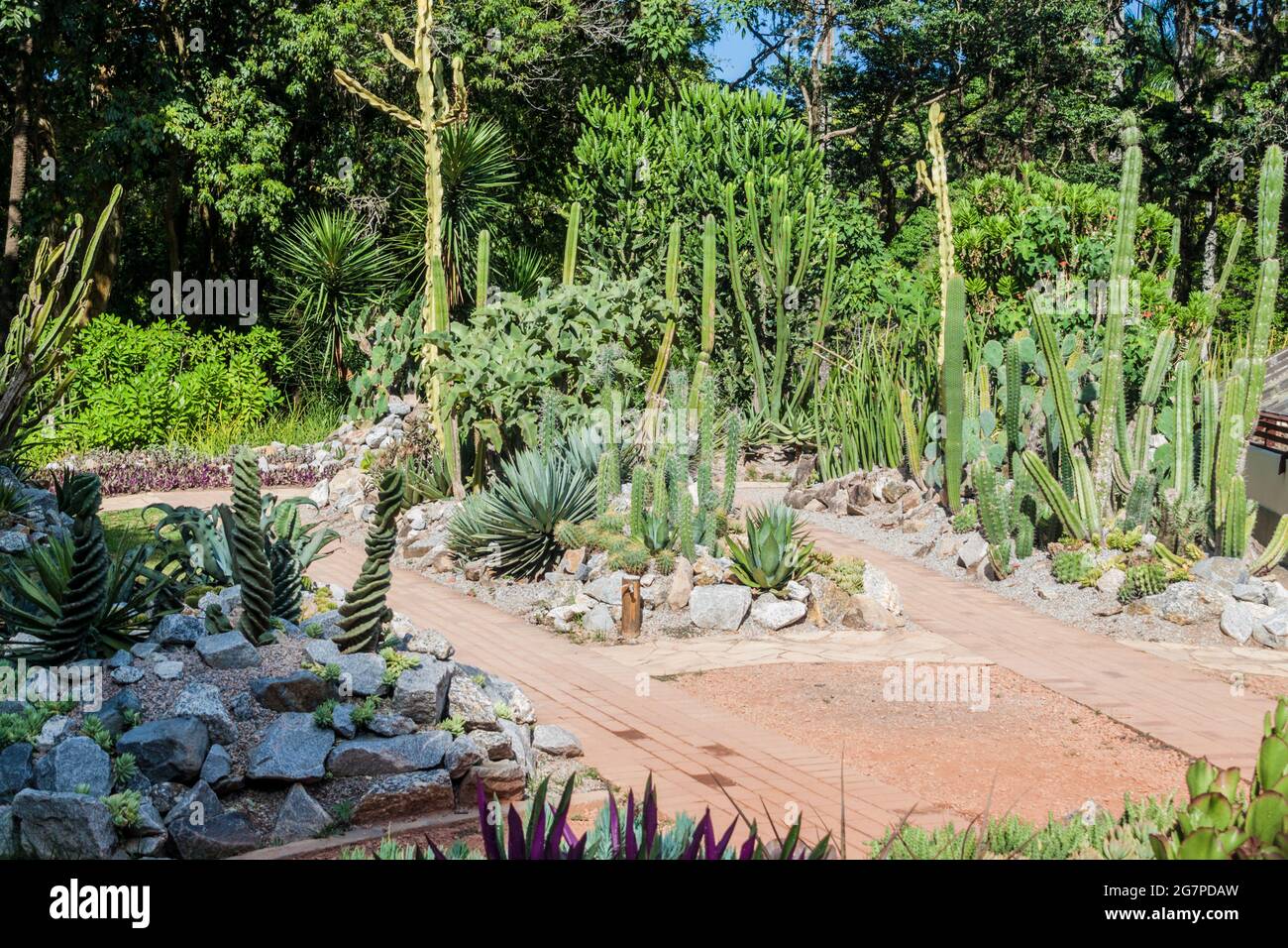 Cactus botanical garden section hi-res stock photography and images - Alamy