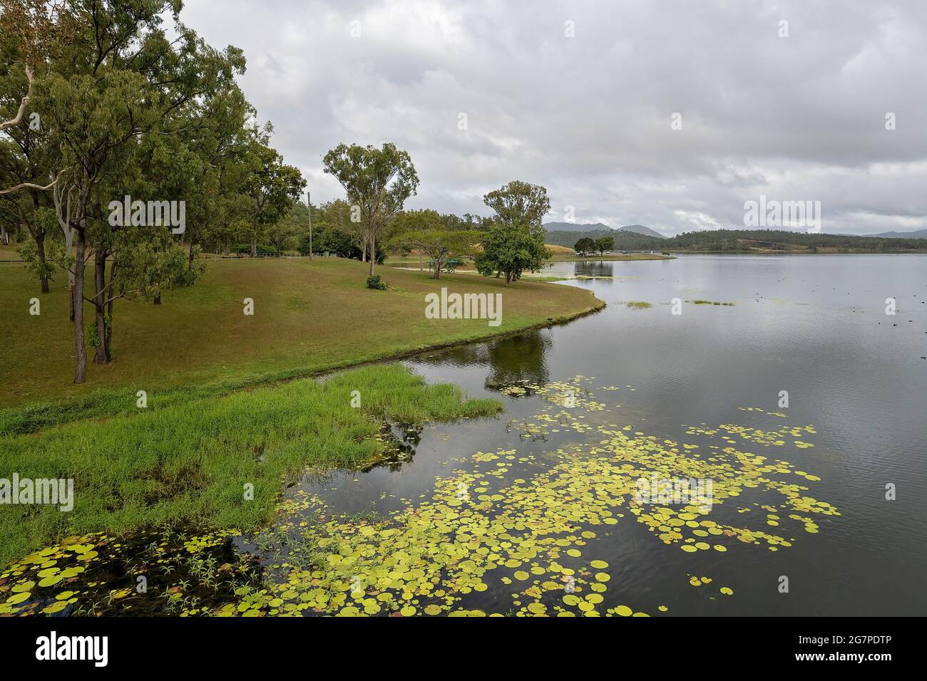 The grassy shoreline lined with weeds and algae, grass mowed for public ...