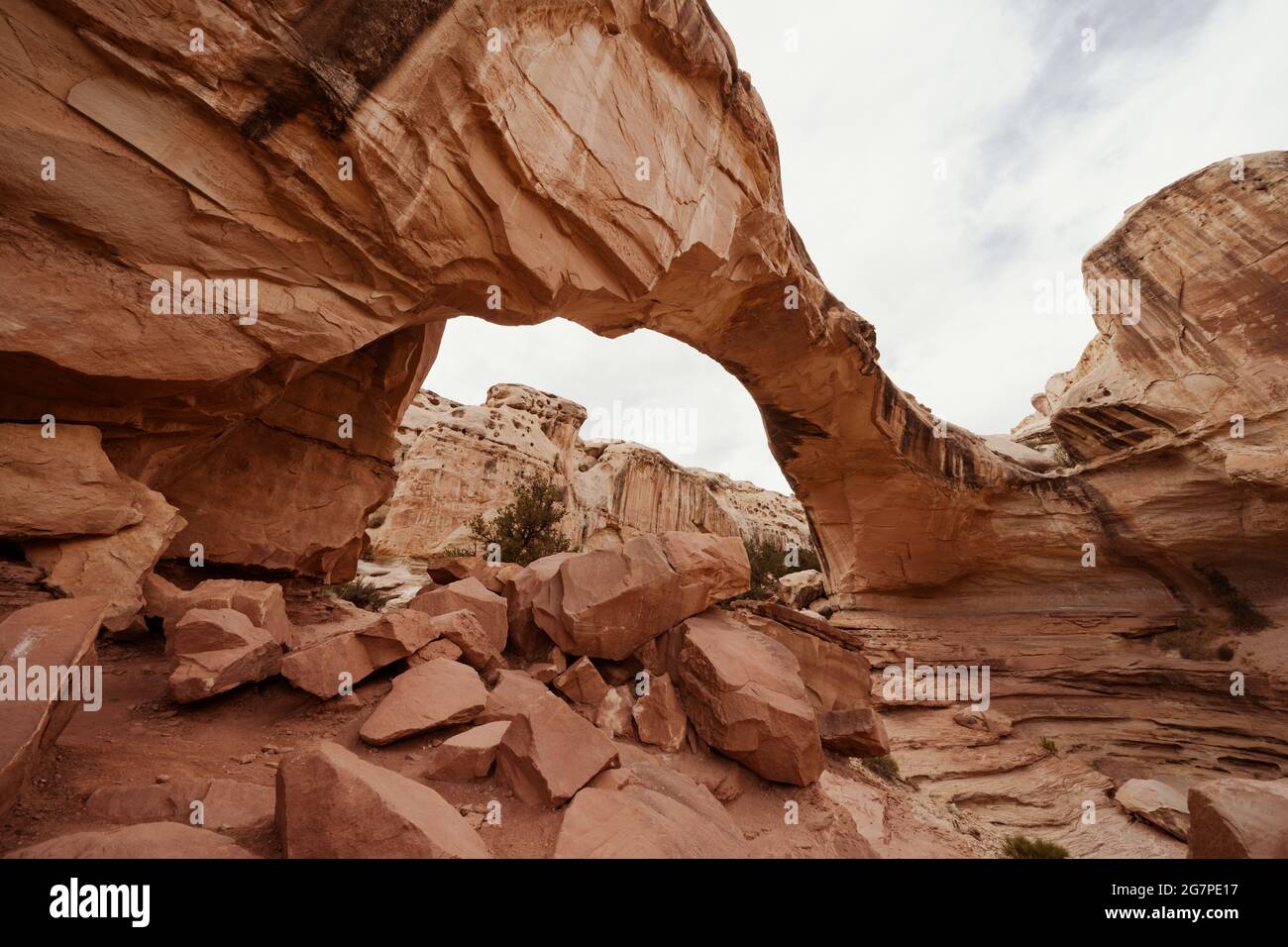 Hickman Bridge, an arch formation in Capitol Reef National Park Utah ...
