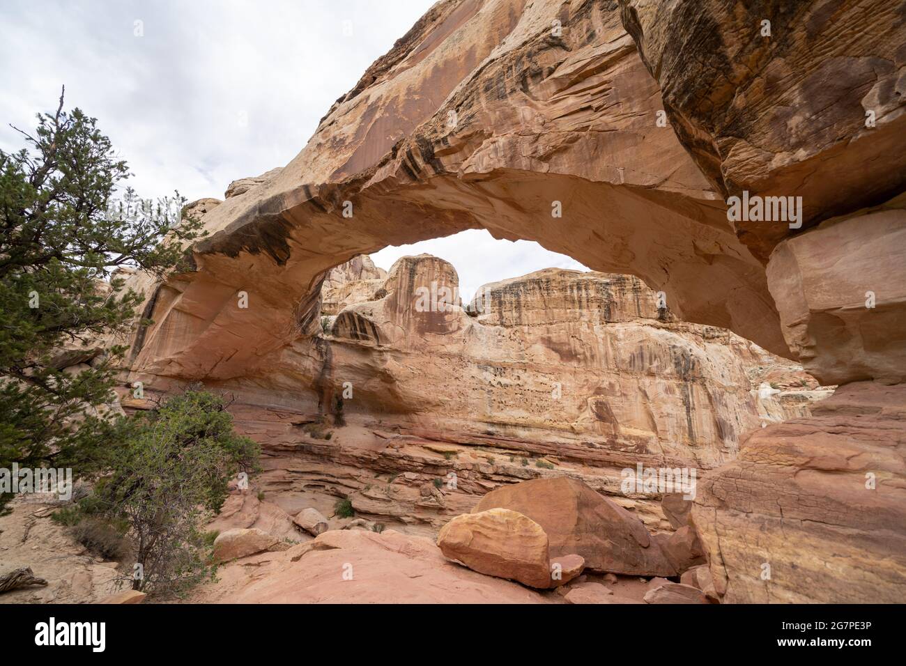 Hickman Bridge, an arch formation in Capitol Reef National Park Utah ...