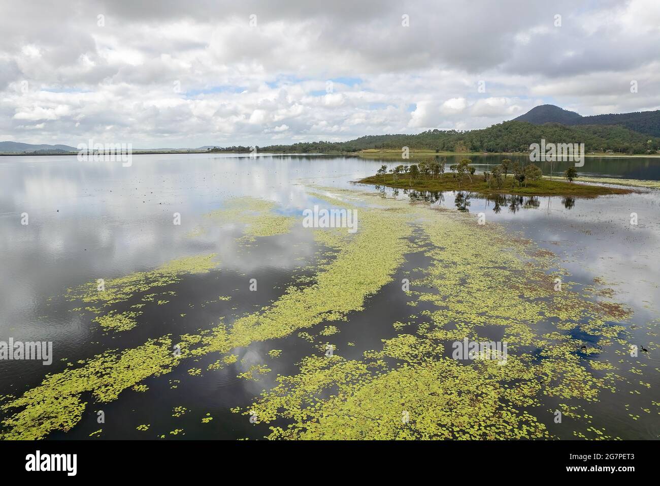 A tiny island on a dam with a swath of water plants and wildlife ...