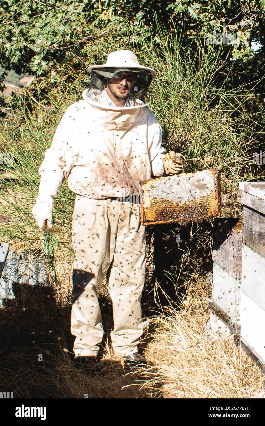 Man and bee sting hi-res stock photography and images - Alamy