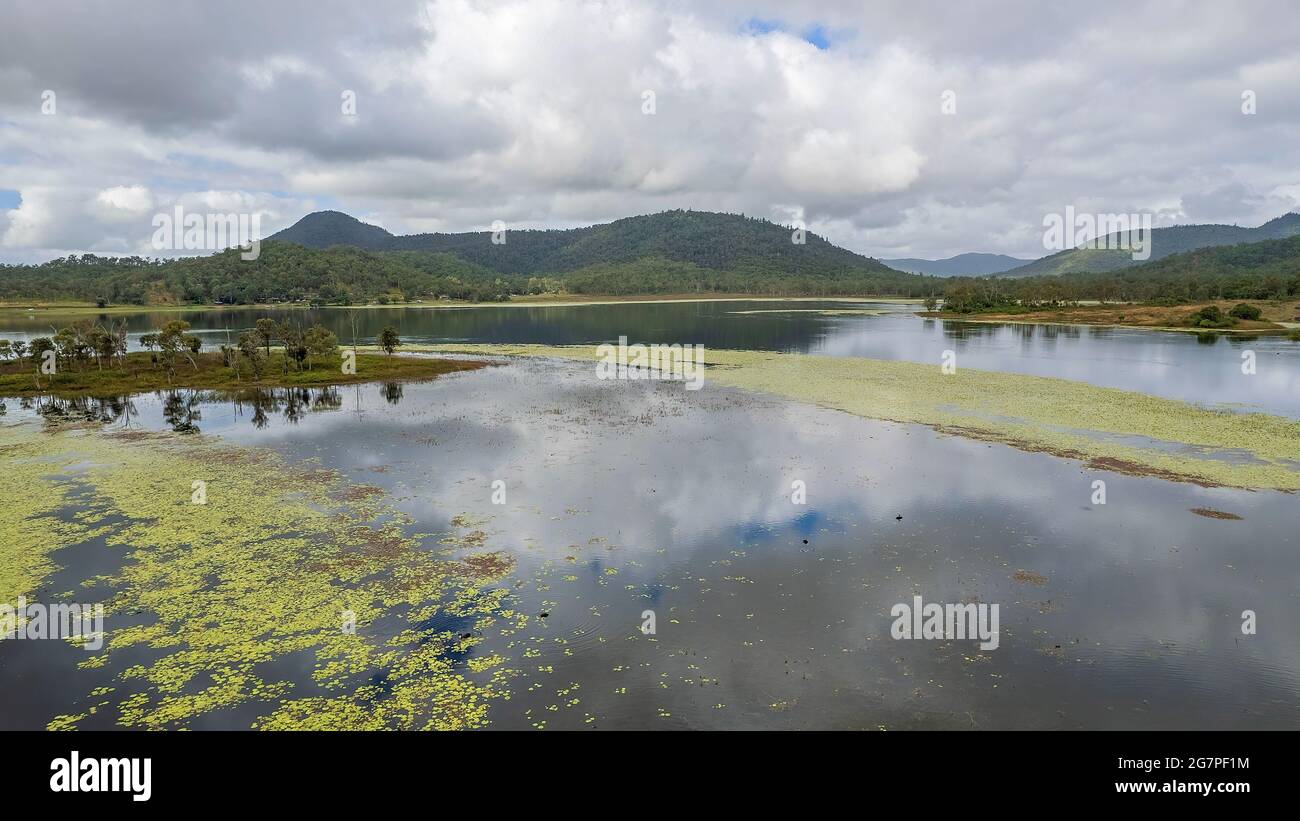 An island on a dam with a swath of water plants and wildlife swimming ...