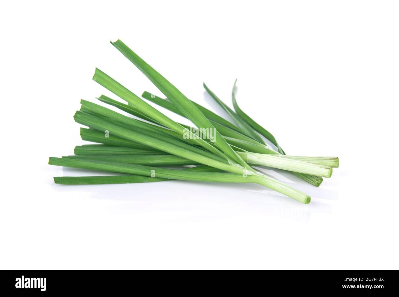 Spring onion isolated on white background Stock Photo - Alamy