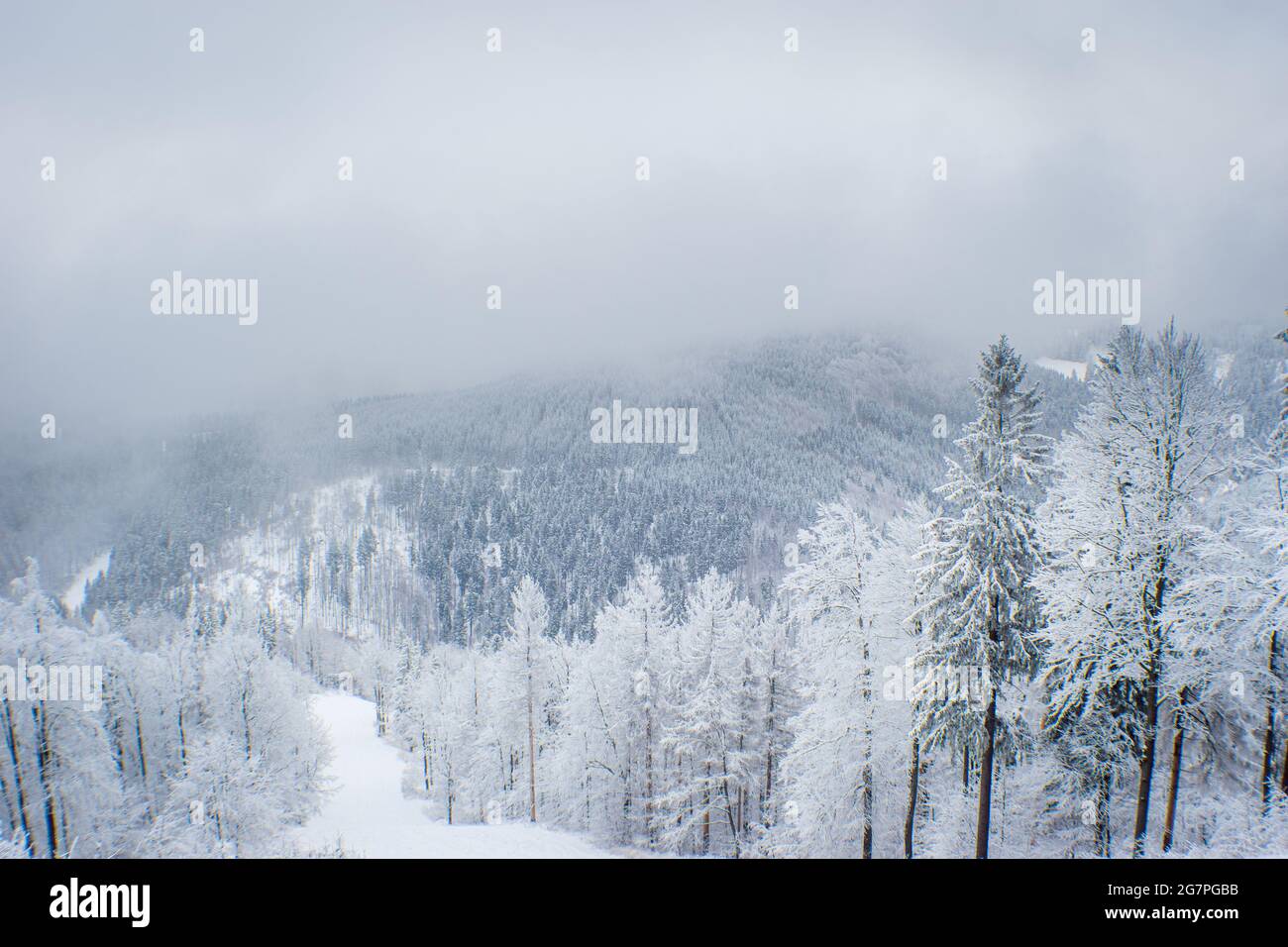 Beautiful shot snowy trees hi-res stock photography and images - Alamy