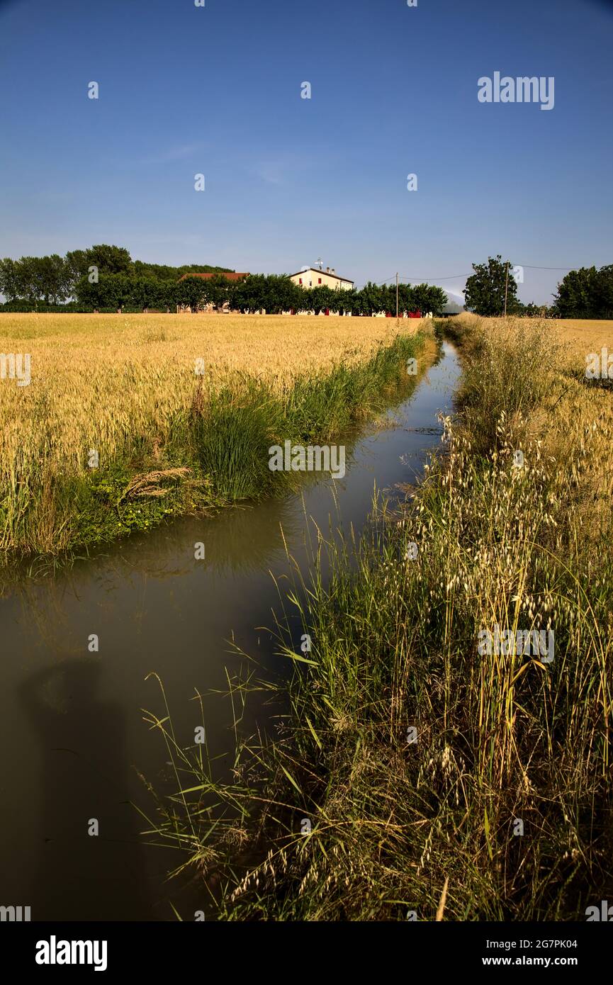 Straw bordered hi-res stock photography and images - Alamy