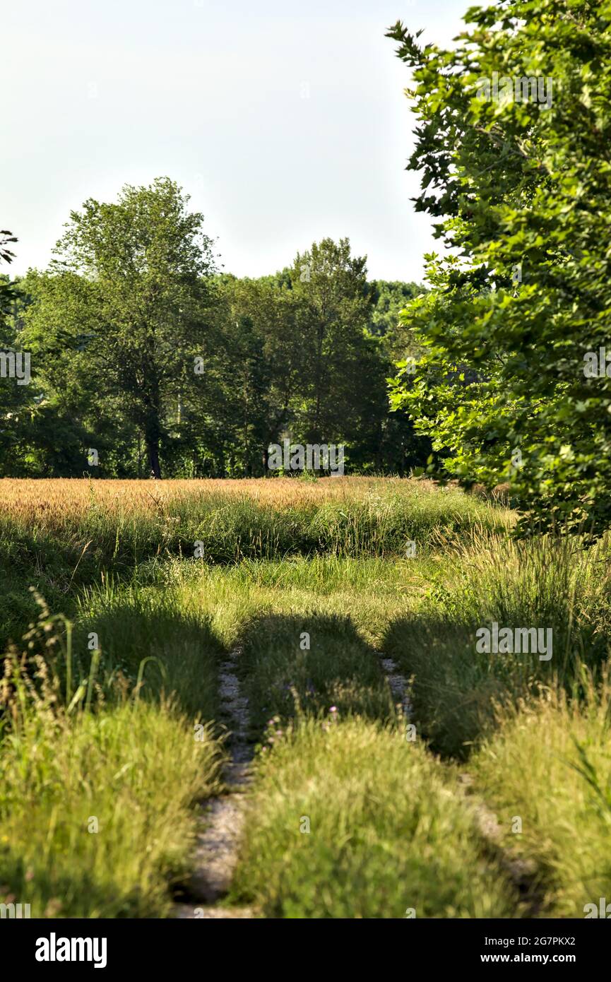 Panoramic meadow path sunset hi-res stock photography and images - Alamy