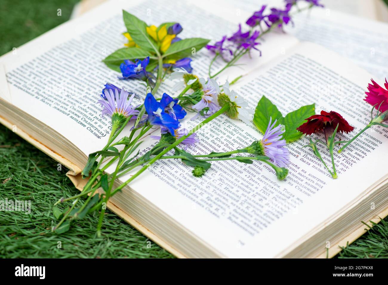 Beautiful greeting cards hi-res stock photography and images - Alamy