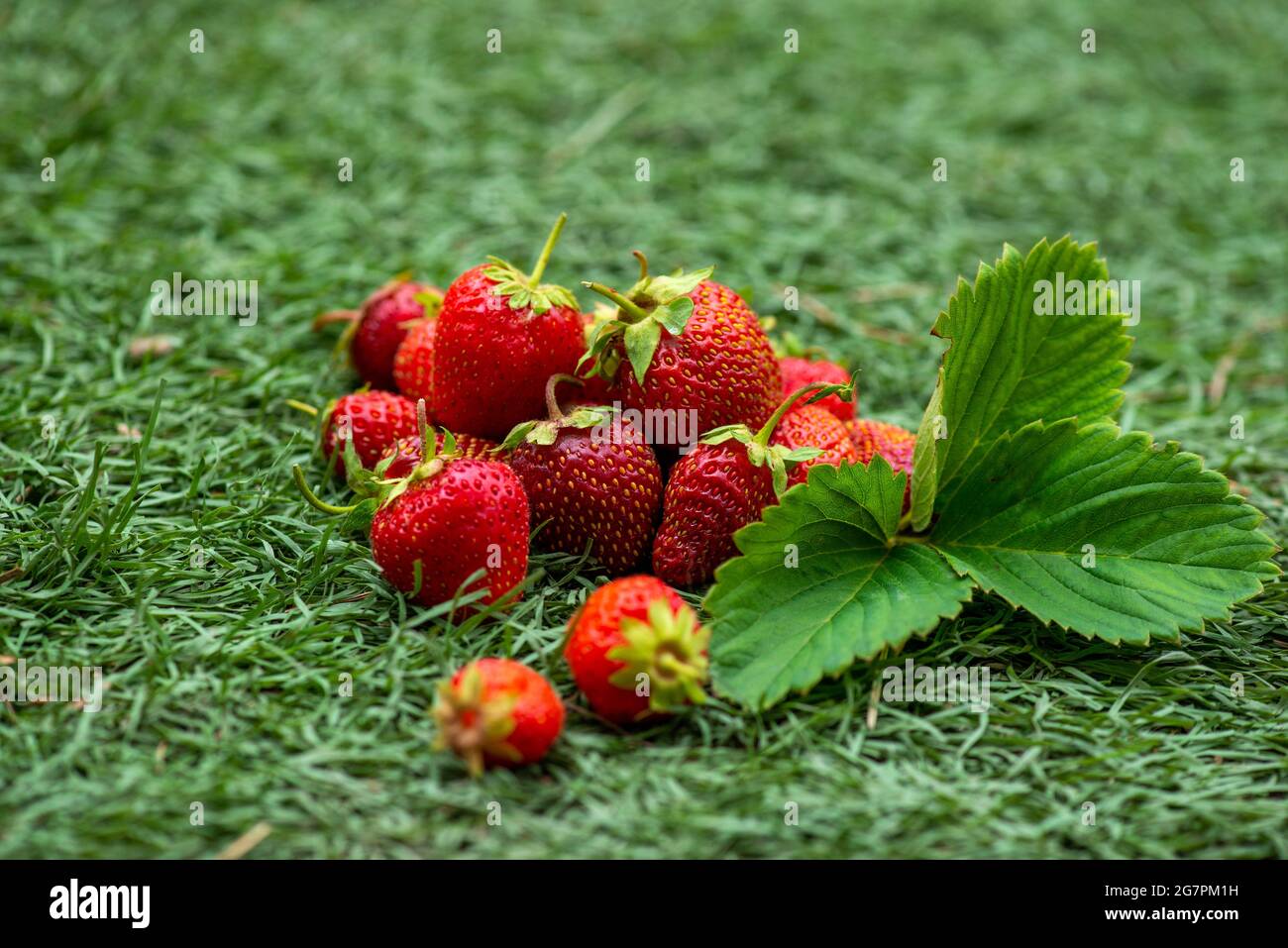 Soft slide hi-res stock photography and images - Alamy
