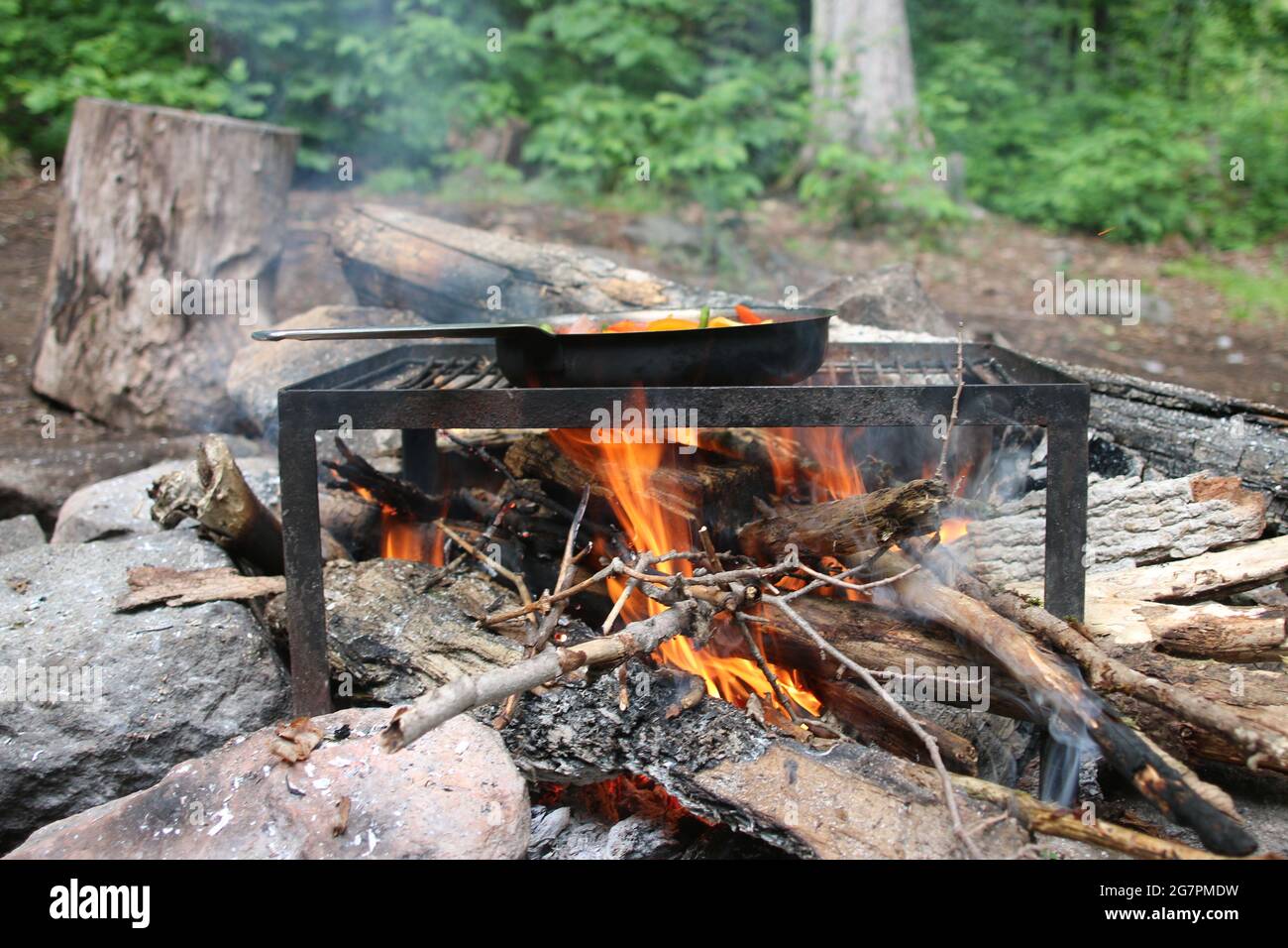 Pan with fried food on the campfire in the forest Stock Photo - Alamy
