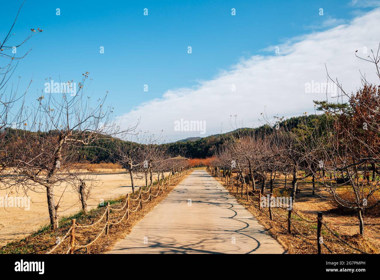 Winter of Hoeryongpo country village in Yecheon, Korea Stock Photo - Alamy