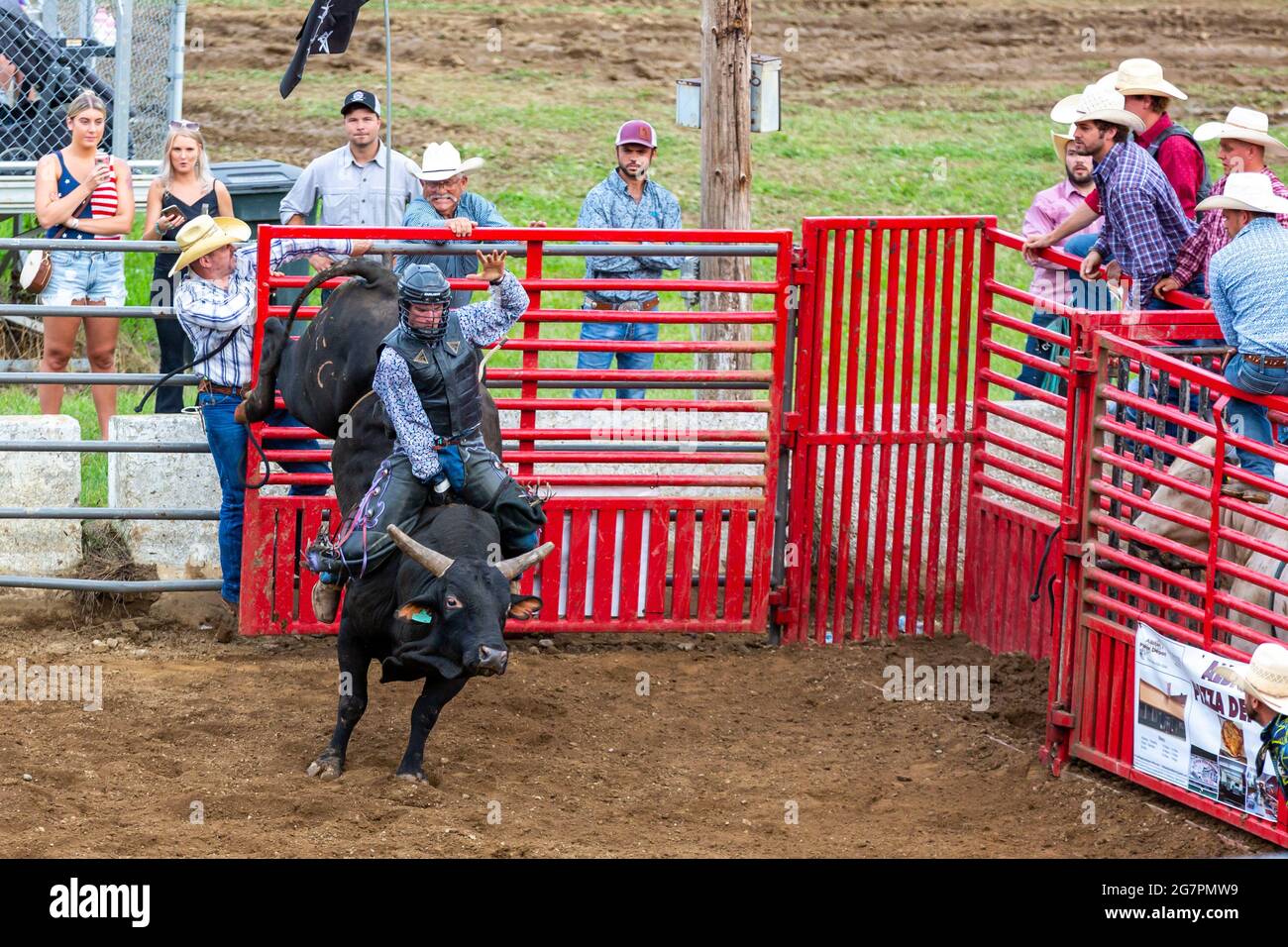 A cowboy rides an angry bull at a rodeo at the Noble County Fairgrounds ...