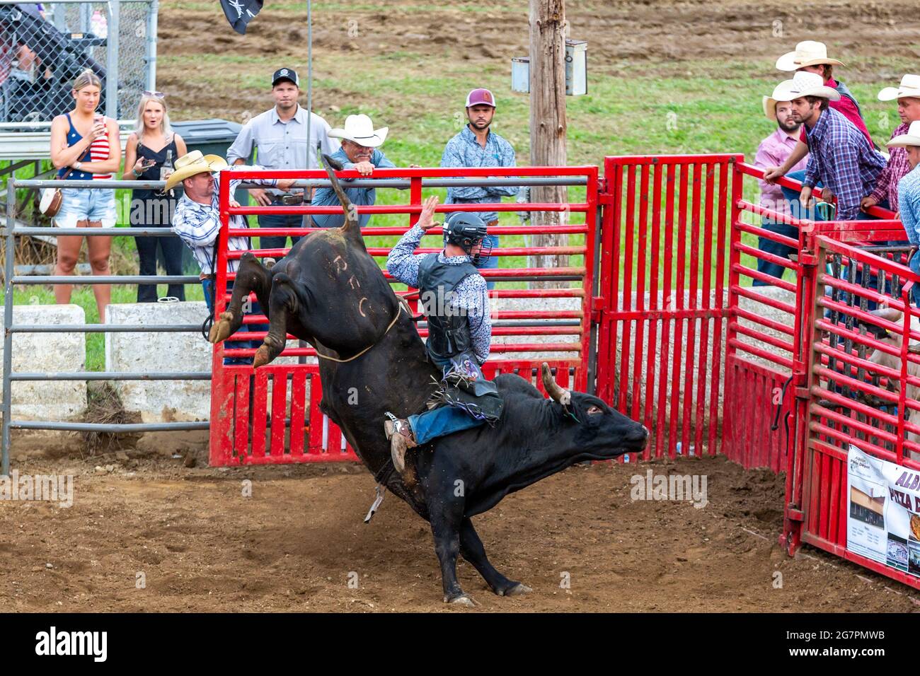 A cowboy rides an angry bull at a rodeo at the Noble County Fairgrounds ...