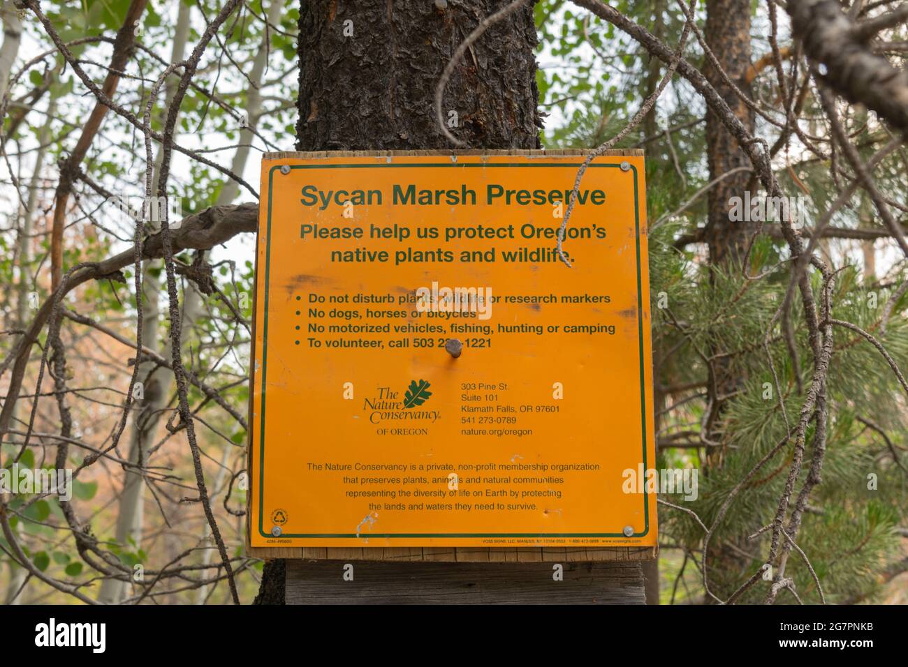 A sign posted on a tree describes the Sycan Marsh Preserve, which is ...