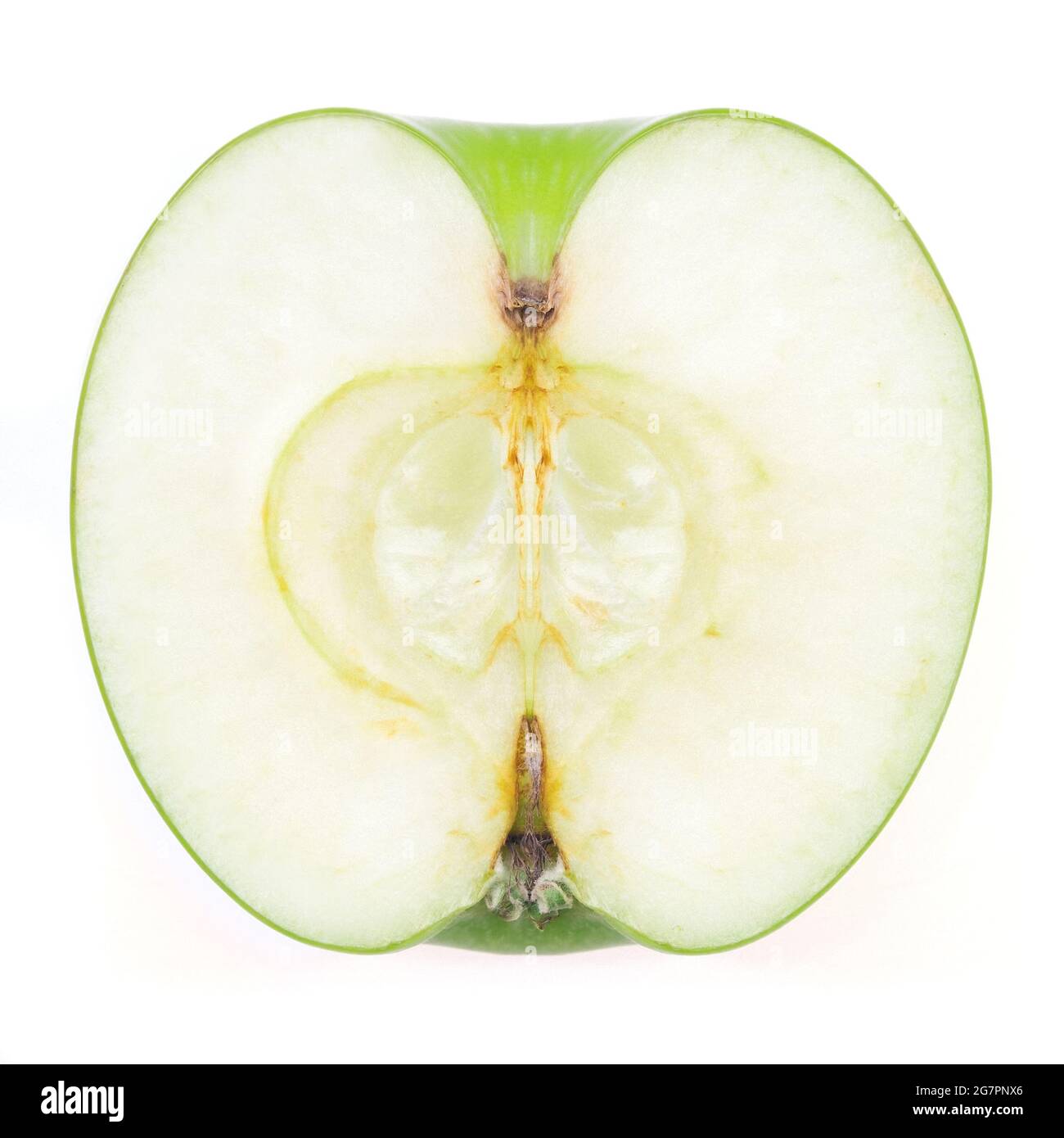 a photo of half green apple isolated on white background Stock Photo ...