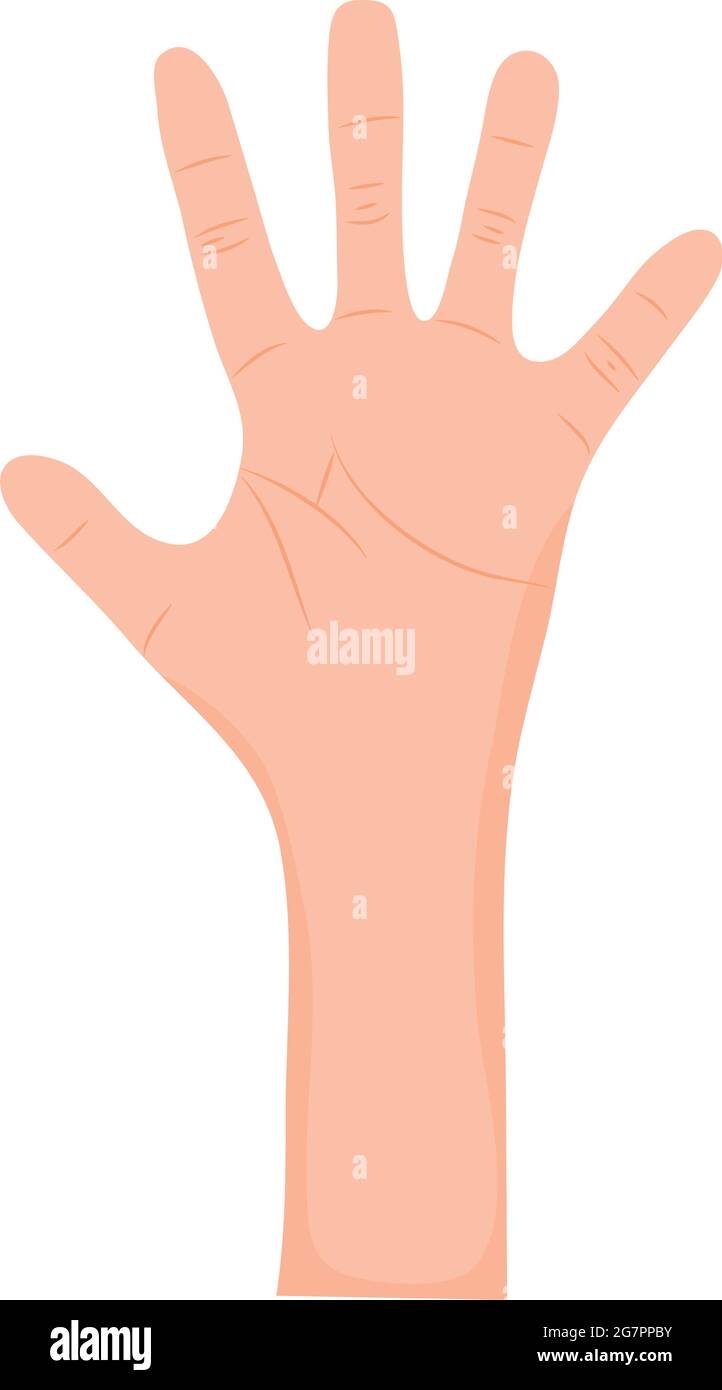 human hand palm on white background Stock Vector Image & Art - Alamy