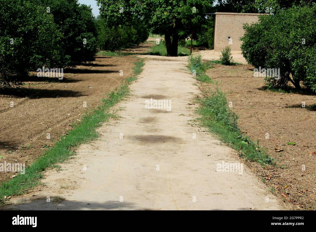 Sand road in a village area Stock Photo - Alamy