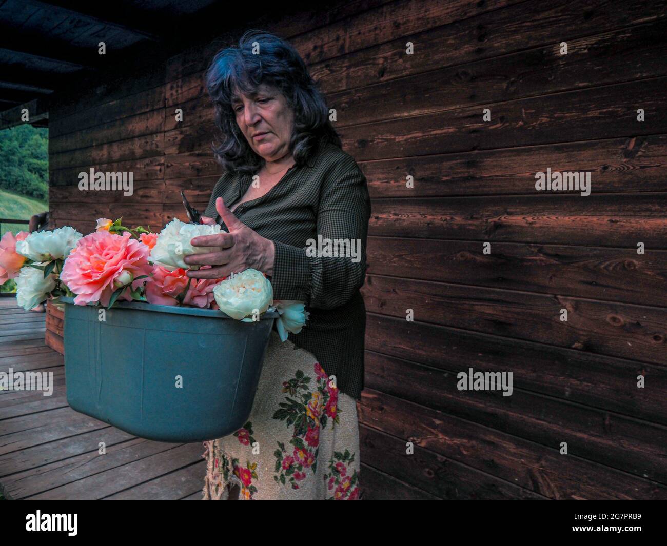 Collecting flowers from garden hi-res stock photography and images - Alamy