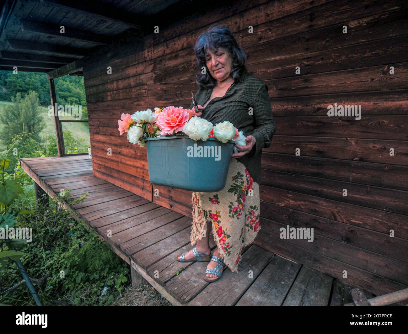 Italian senior woman collecting flowers from her garden Stock Photo - Alamy