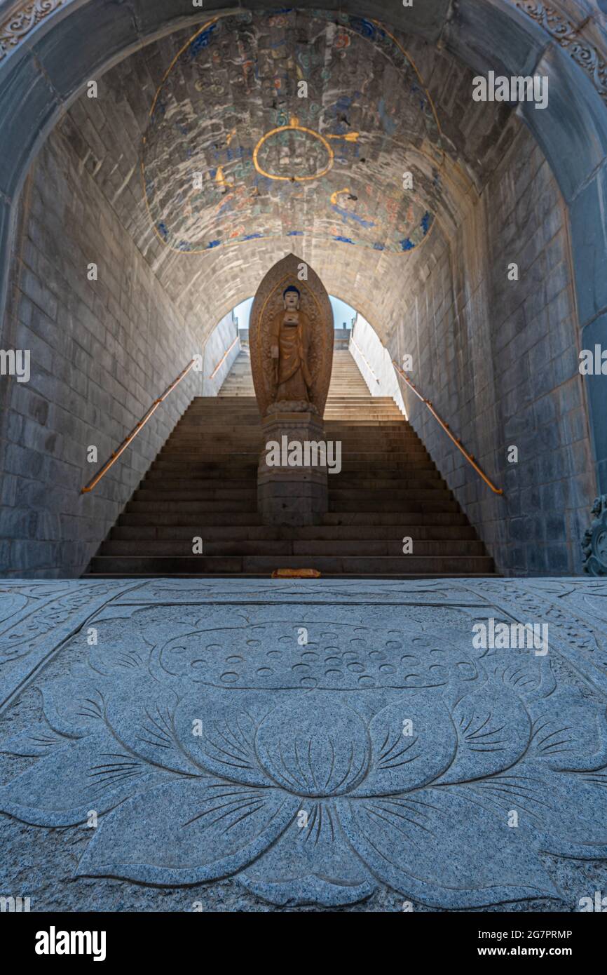 Zhulin hi-res stock photography and images - Alamy