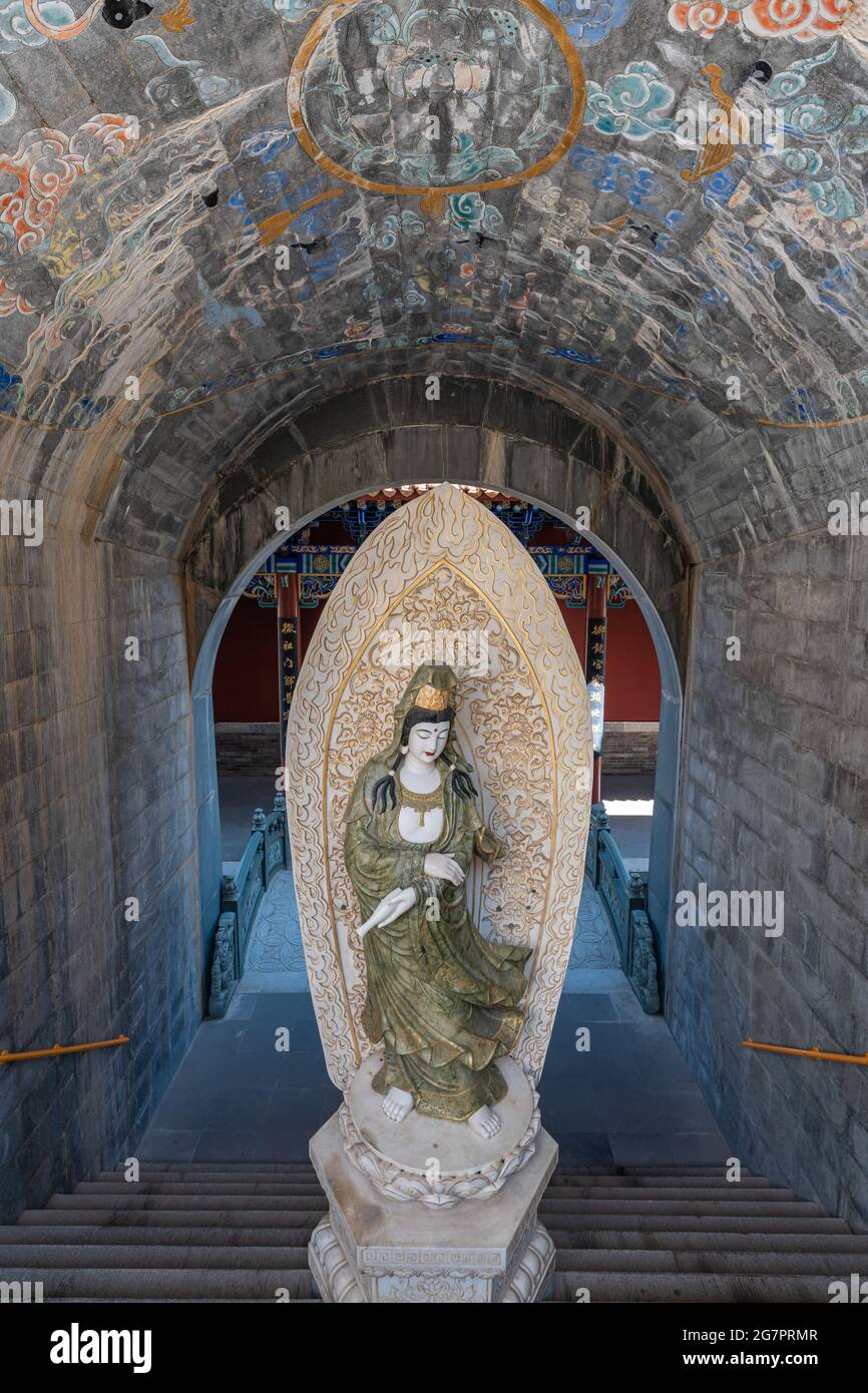 Zhulin hi-res stock photography and images - Alamy