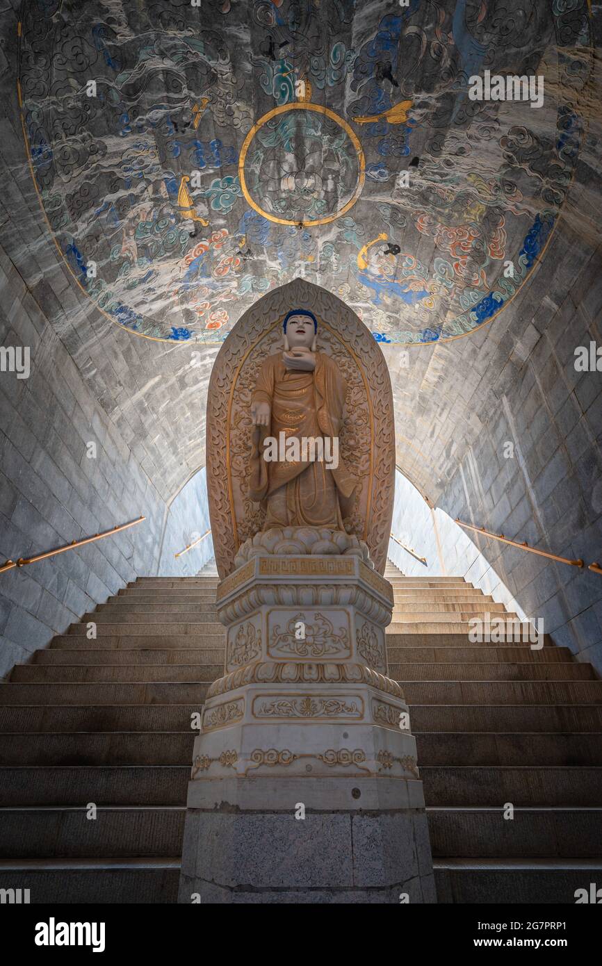 Zhulin hi-res stock photography and images - Alamy