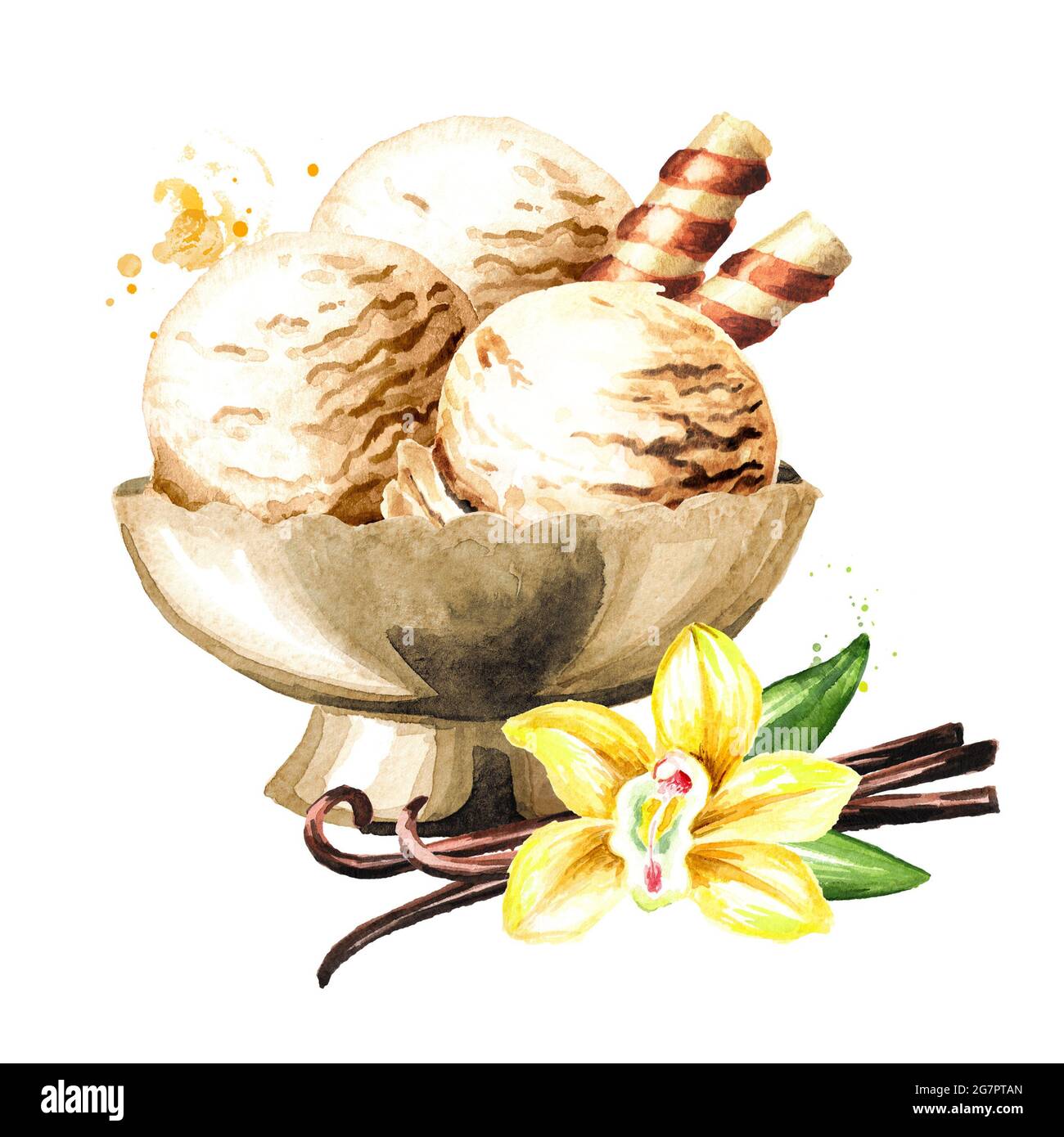 Vanilla ice cream in thr bowl. Watercolor hand drawn illustration ...