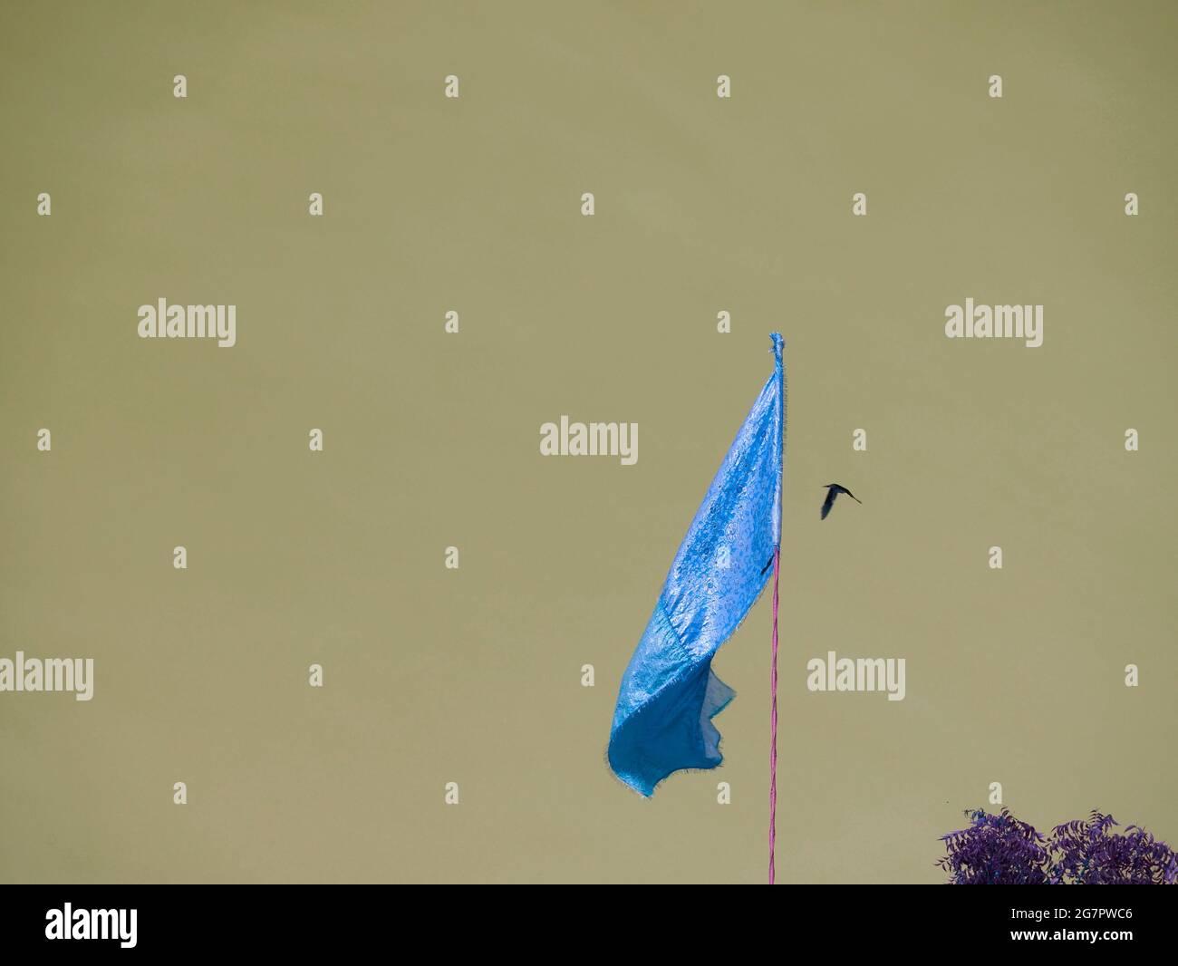 Blue color flying flag presenting isolated at sky background Stock ...