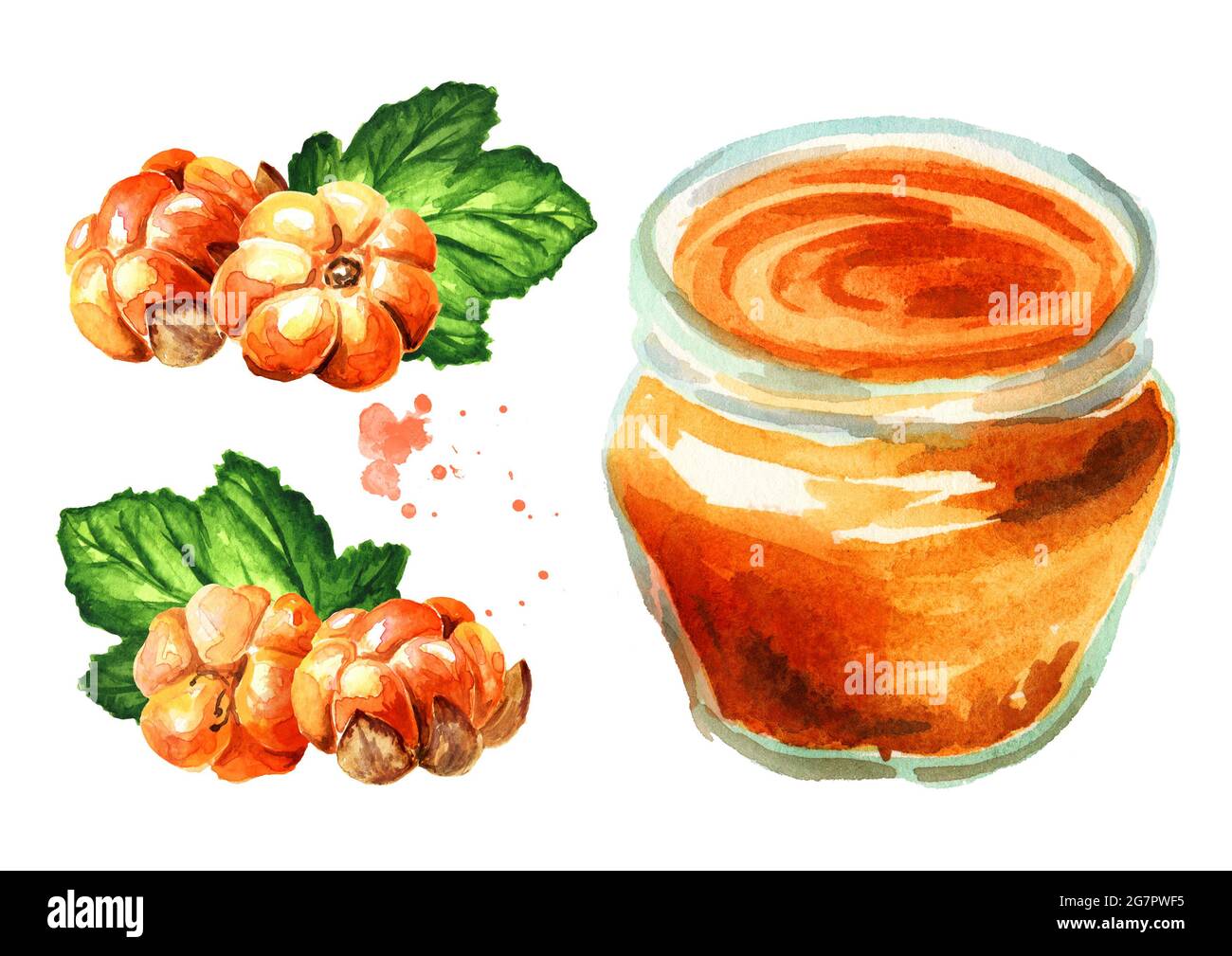 Cloudberry jam jar with northern forest berry cloudberry set. Hand ...