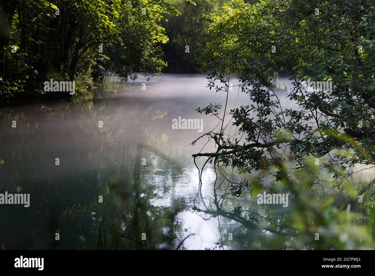 Leaning over a swamp and reflection of the sun in water Stock Photo - Alamy
