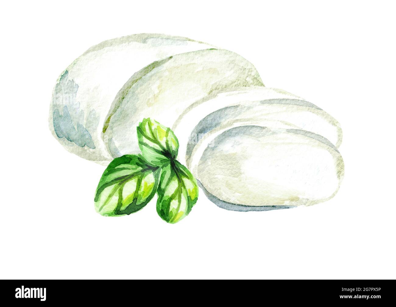 Mozzarella cheese. Watercolor hand drawn illustration, isolated on ...