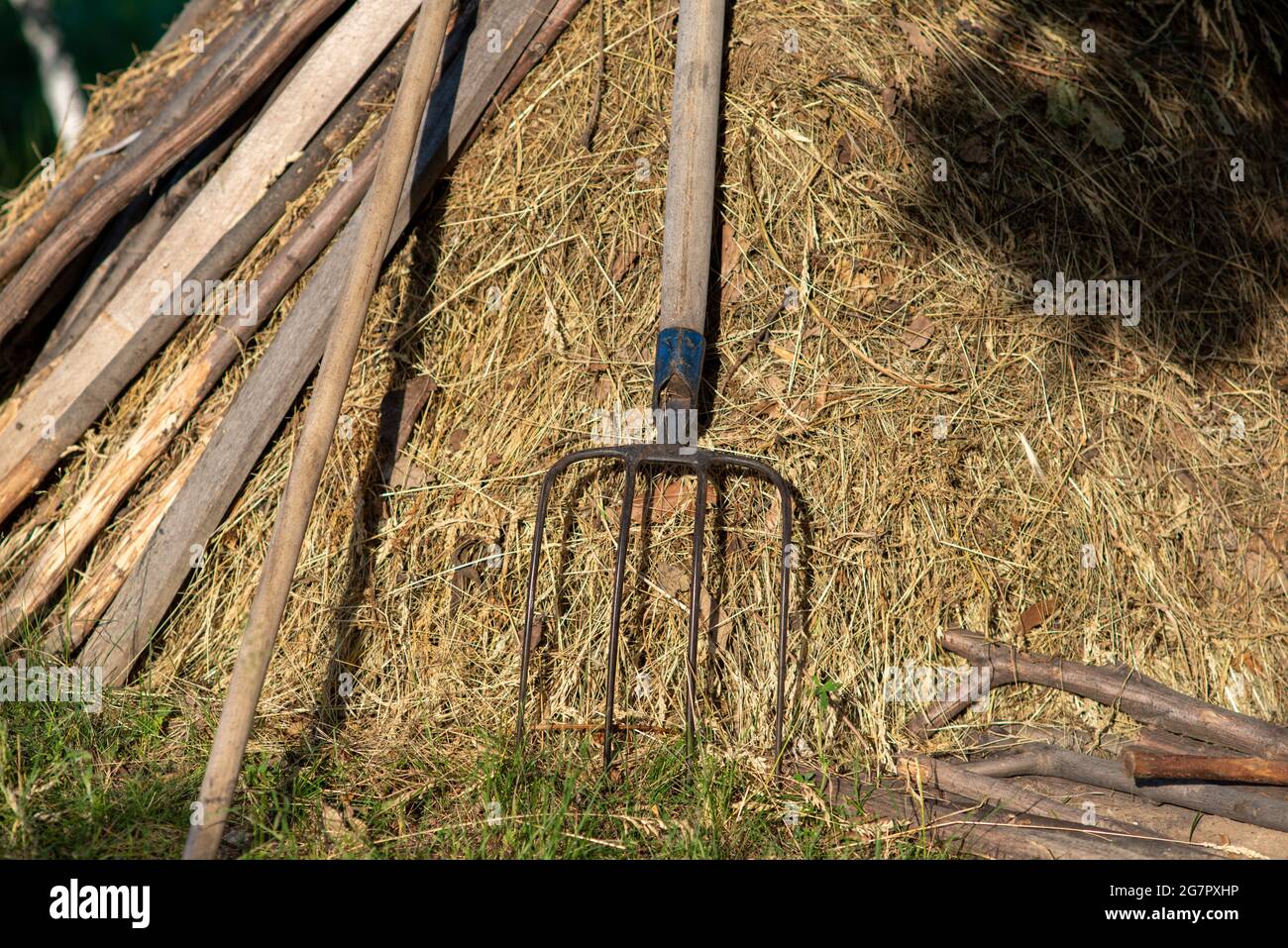 Rake on a pile of straw Stock Photo - Alamy