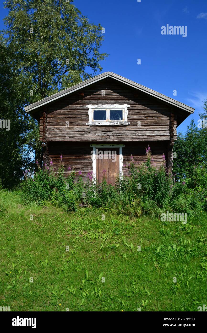 Vertical shot of a Northern Swedish barn with green grasses under a ...