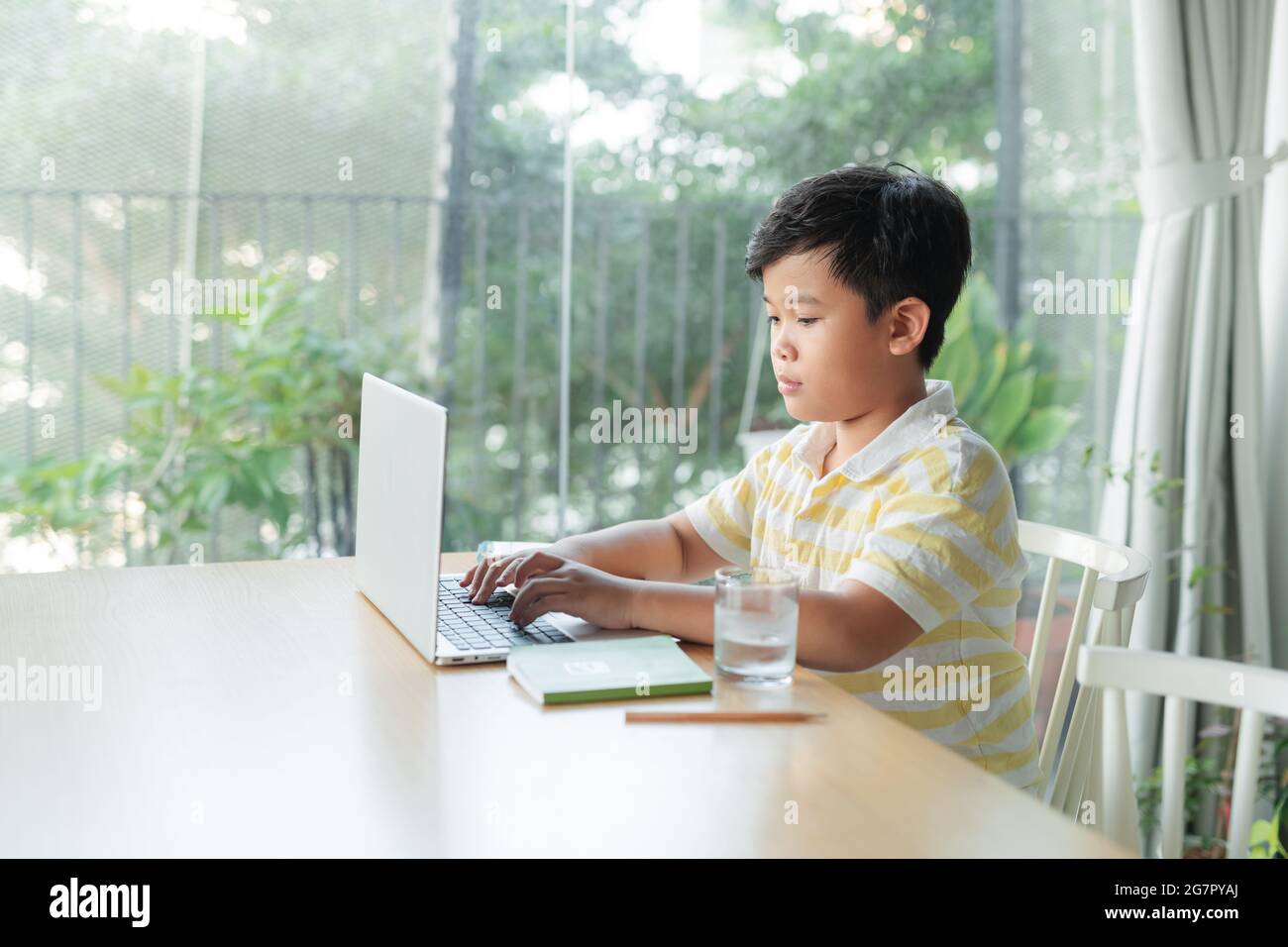 Online chinese learning distance hi-res stock photography and images ...