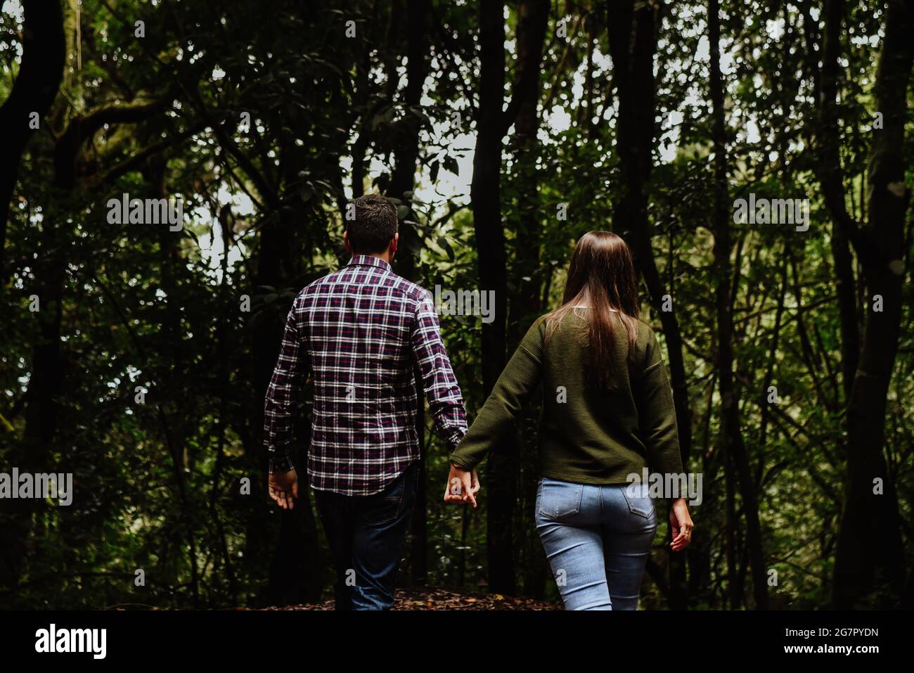 Couple holding hands entering a forest Stock Photo - Alamy