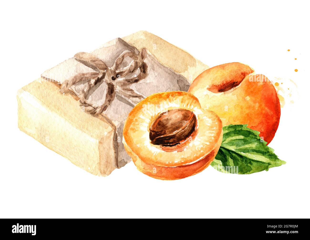 Natural handmade soap with Apricot Seed oil. Watercolor hand drawn ...