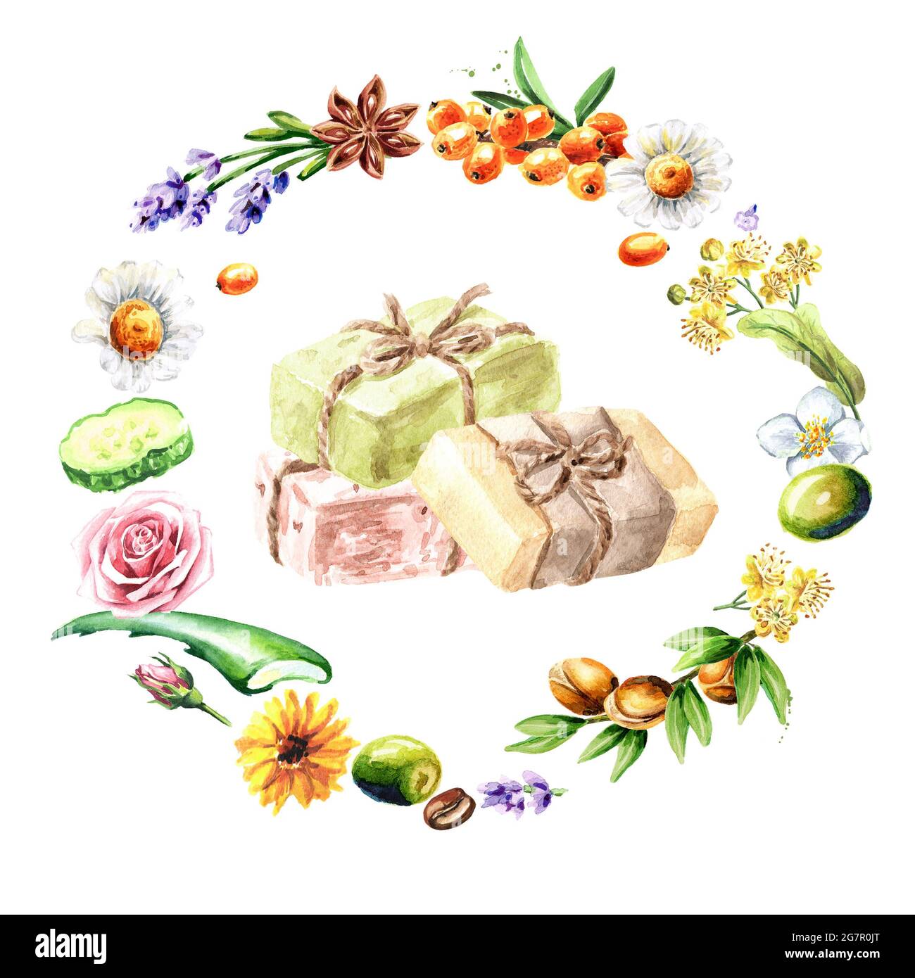 Natural handmade soap and natural ingredients. Watercolor hand drawn ...