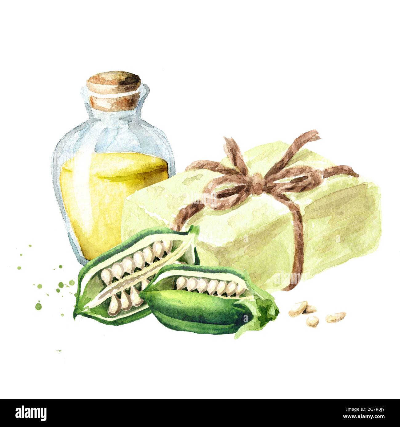 Natural handmade soap with Sesame oil. Watercolor hand drawn ...