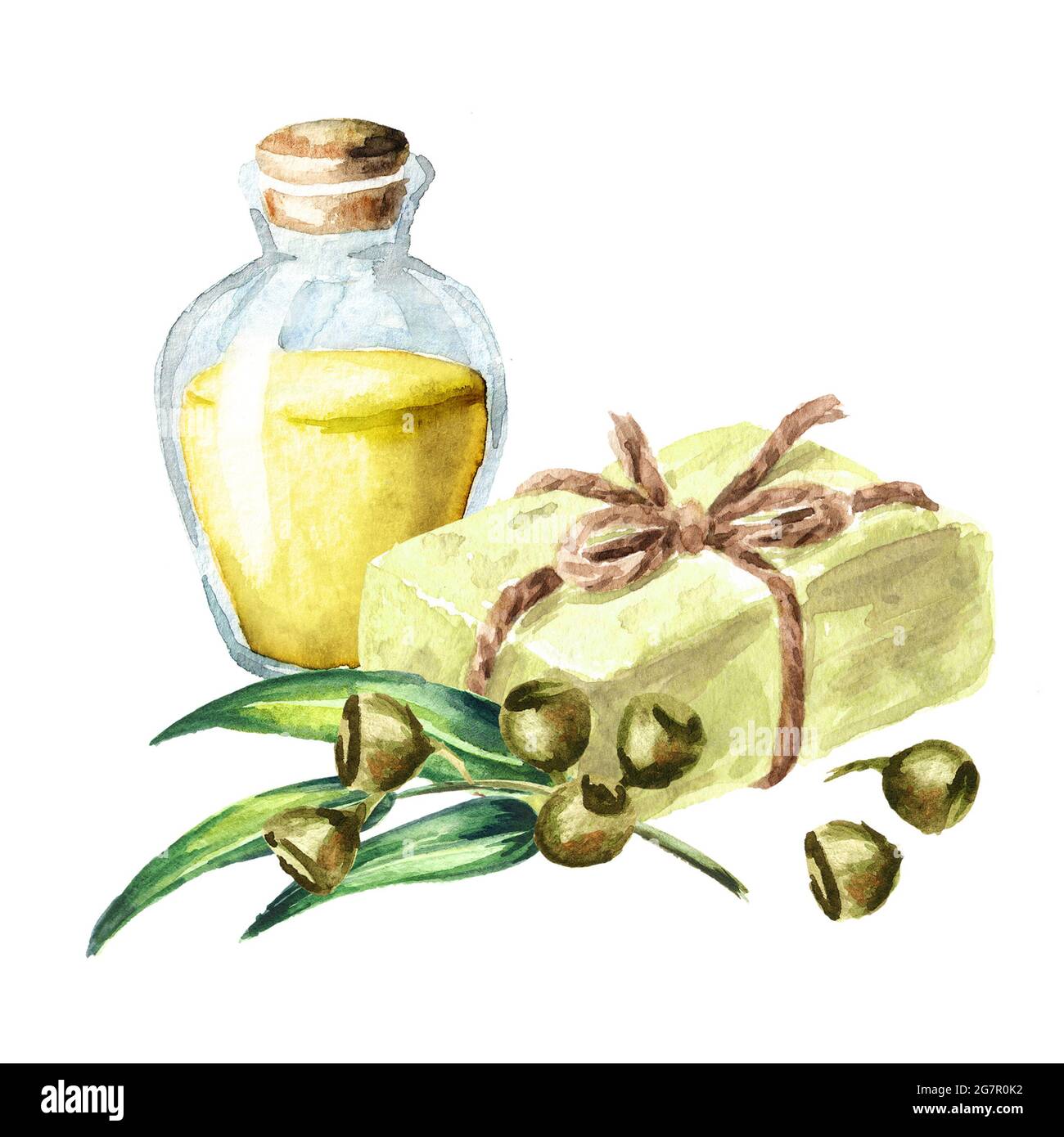 Natural handmade soap with Eucalyptus oil. Watercolor hand drawn ...