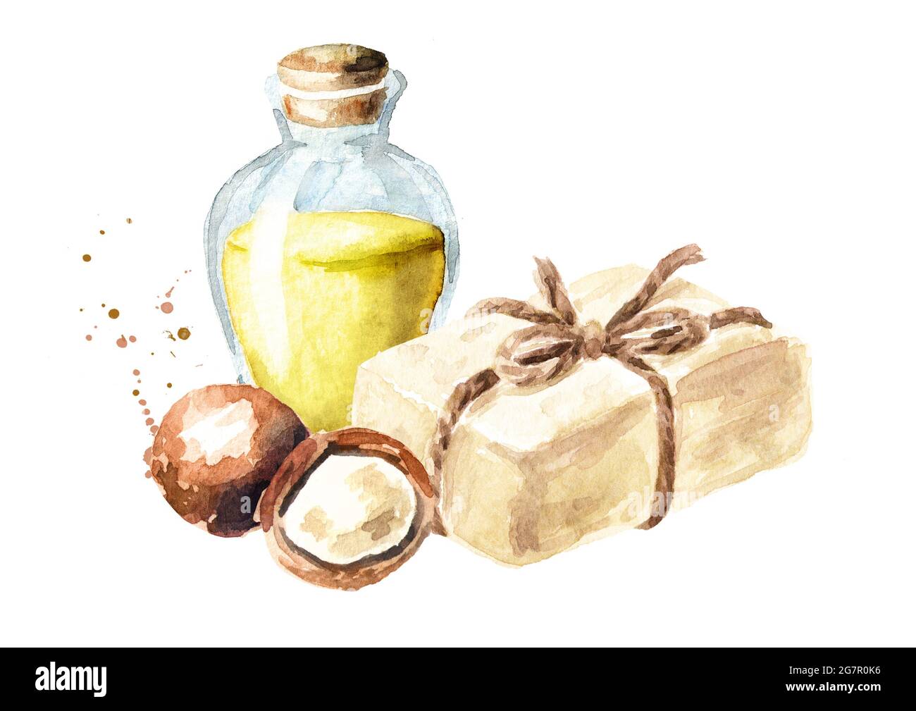 Natural handmade soap with Macadamia oil. Watercolor hand drawn ...